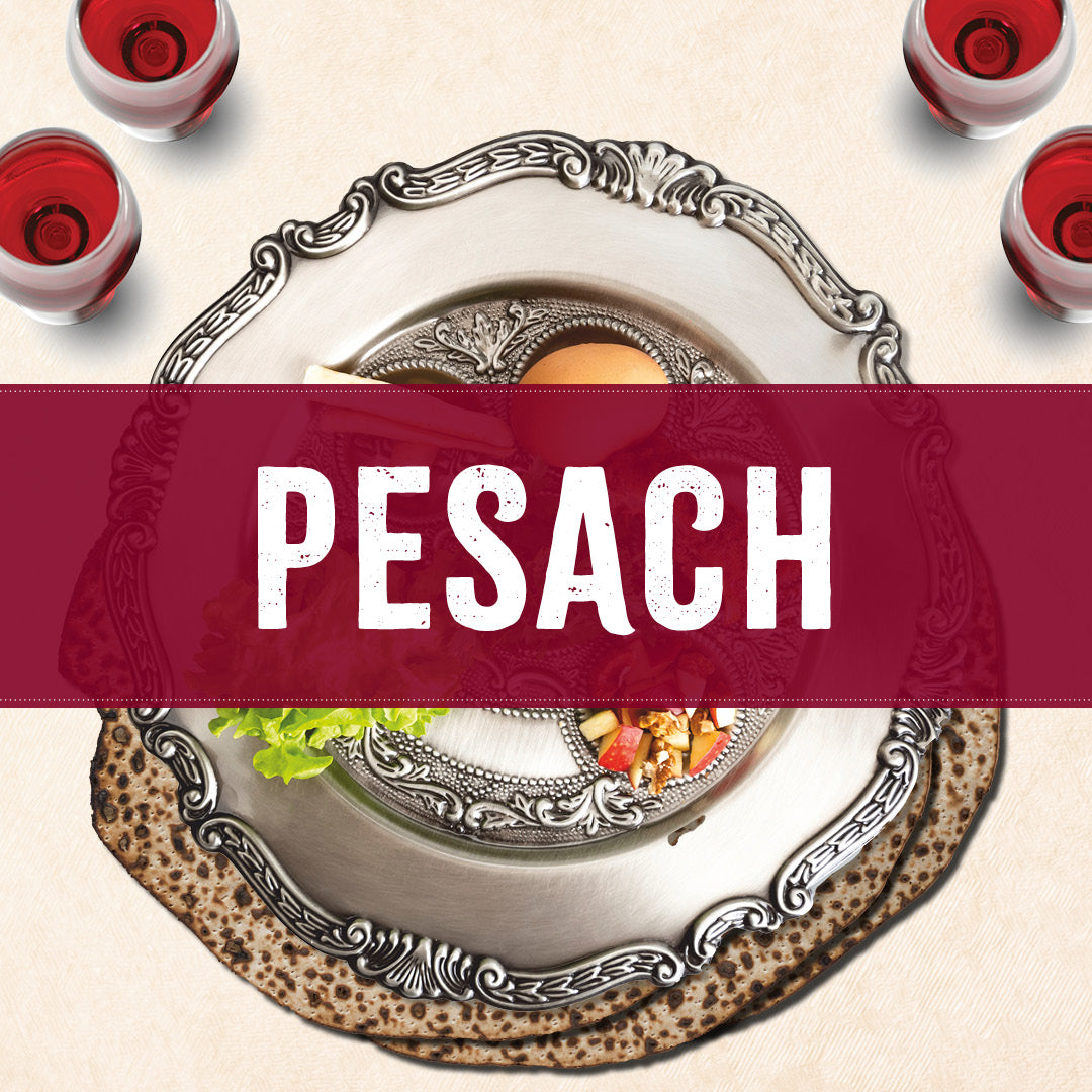 The Designery Shop - Personalized Jewish Flyers!